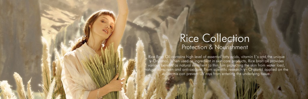 RC-web-1400x450 - Thann